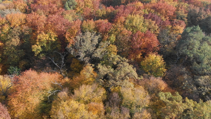 Overlook with Autumn trees and leaves image - Free stock photo - Public ...