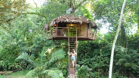 4k Aerial Treehouse Panama Jungle Child Stock Footage Video (100% ...