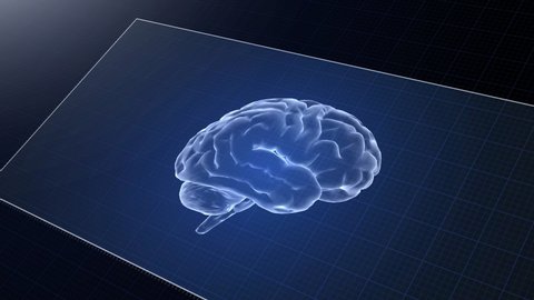 Laboratory Dashboard Interface 4k Human Brian Stock Footage Video (100% ...