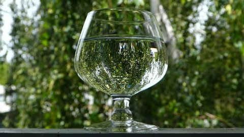 Moving Branches Beech Tree Reflected Lens Stock Footage Video (100% ...