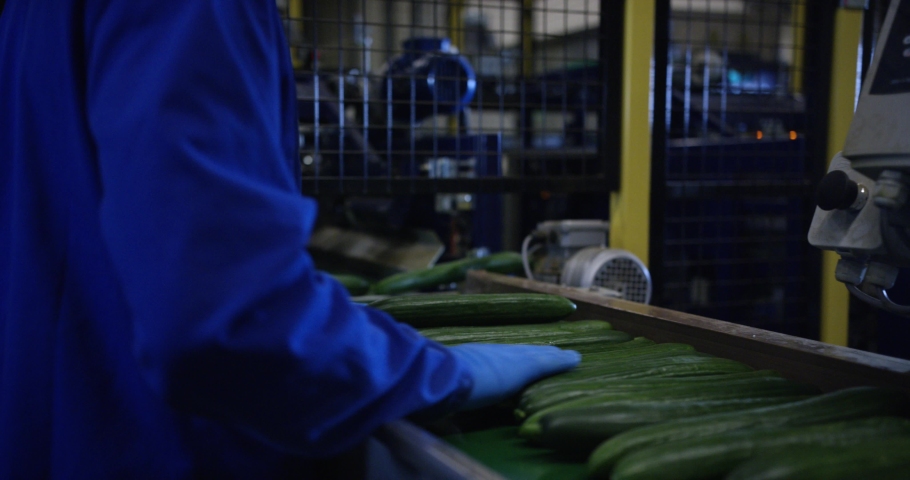 Food Factory Workers Processing Fresh Stock Footage Video (100% Royalty ...