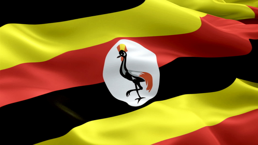 flag uganda beautiful 3d animation loop Stock Footage Video (100% ...