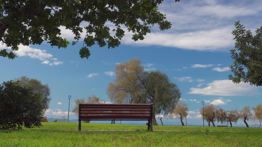 park bench shade tree under beautiful Stock Footage Video (100% Royalty ...