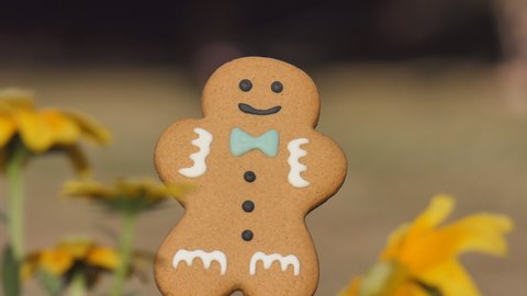 Angry Attacking Gingerbread Man 3d Render Stock Illustration 354218783 ...
