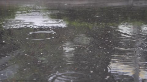 Soak Water Rainfall Rain Drops Fall Stock Footage Video (100% Royalty ...