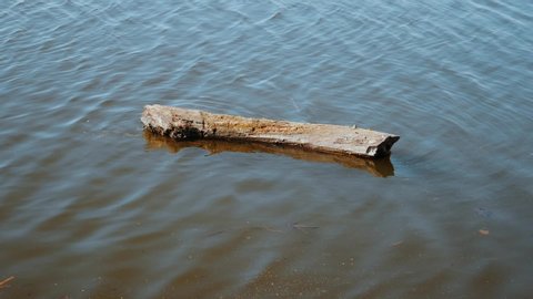 Cartera de videos de stock de Marykit | Shutterstock