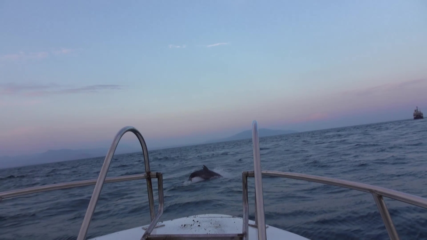 view ship's bow pitching boat open Stock Footage Video (100% Royalty ...