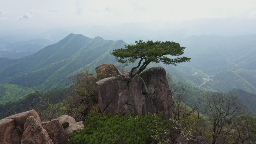 Korea Forest Stock Video Footage - 4K and HD Video Clips | Shutterstock