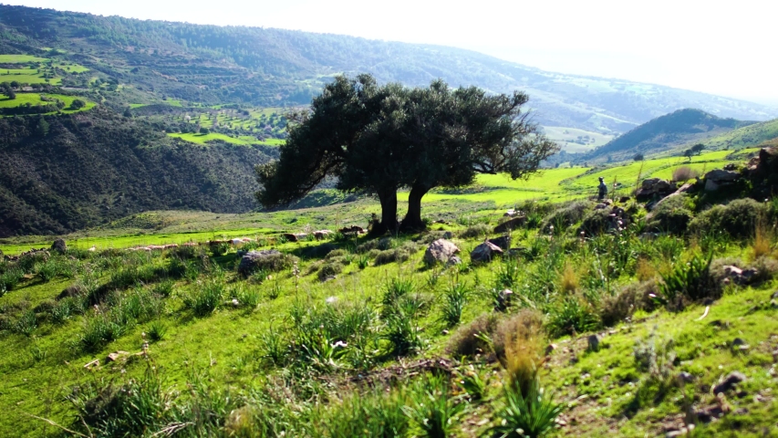Beautiful Green Landscape On Cyprus. Stock Footage Video (100% Royalty ...
