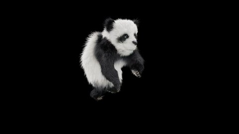 Panda Cg Fur 3d Rendering Animal Stock Footage Video (100% Royalty-free ...
