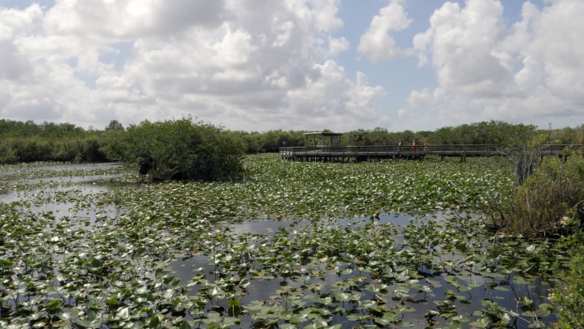 Lake in the Everglades in Everglades National Park, Florida image ...