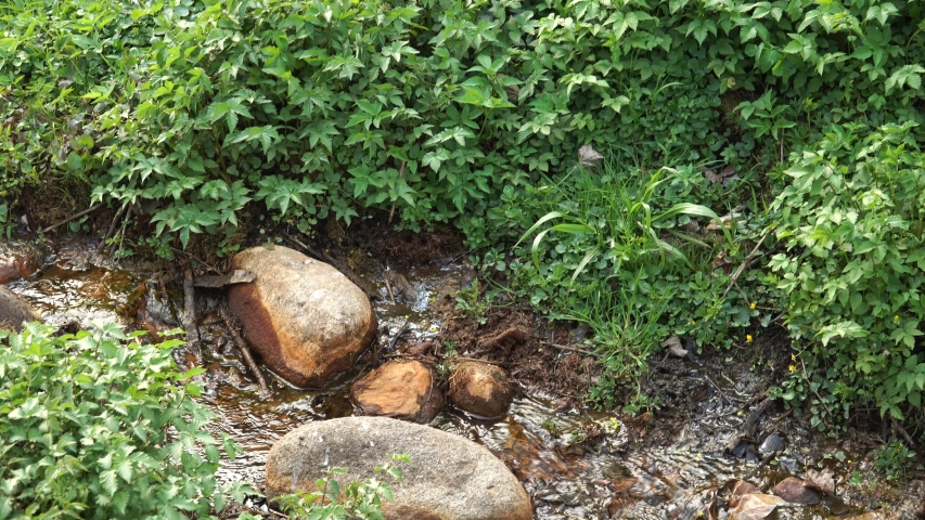 14 Rust hue Stock Video Footage - 4K and HD Video Clips | Shutterstock