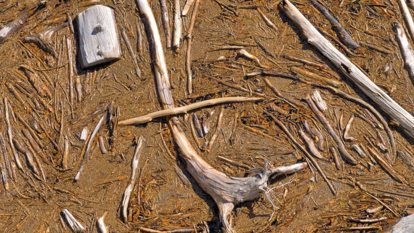 Floating Twigs Leaves On Water Kurobe Stock Footage Video (100% Royalty ...