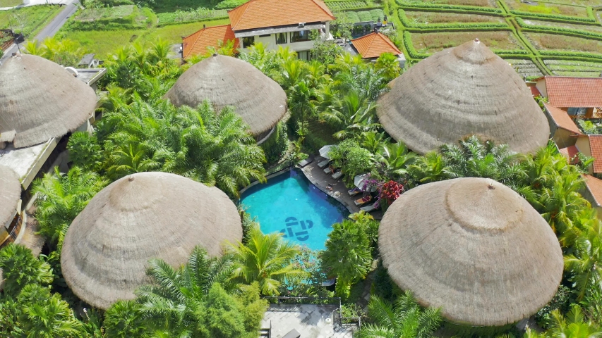 Pool Ubud Stock Video Footage - 4K and HD Video Clips | Shutterstock