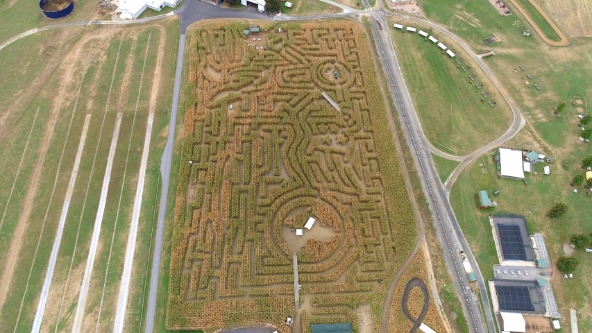 Kids Maze Stock Video Footage - 4K and HD Video Clips | Shutterstock