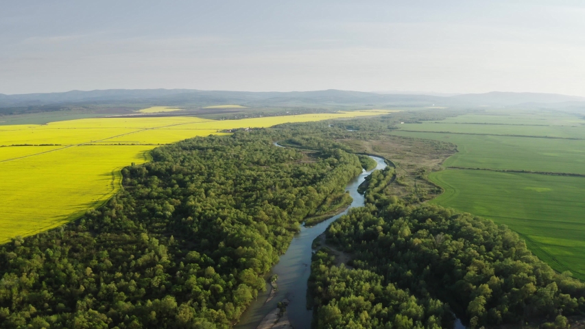 Yellow flower fields in Ukraine image - Free stock photo - Public ...