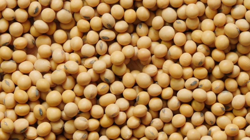 Tofu top view isolated Stock Video Footage - 4K and HD Video Clips ...