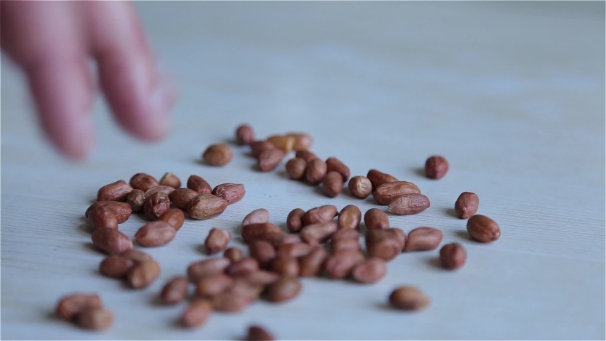 throw peanuts on table Stock Footage Video (100% Royalty-free ...