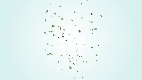 3d Marijuana Leaf Rotation Flying On Stock Footage Video (100% Royalty ...