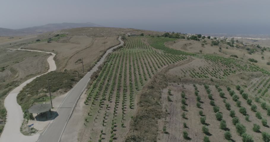 Fields and a tree landscape in Cyprus image - Free stock photo - Public ...
