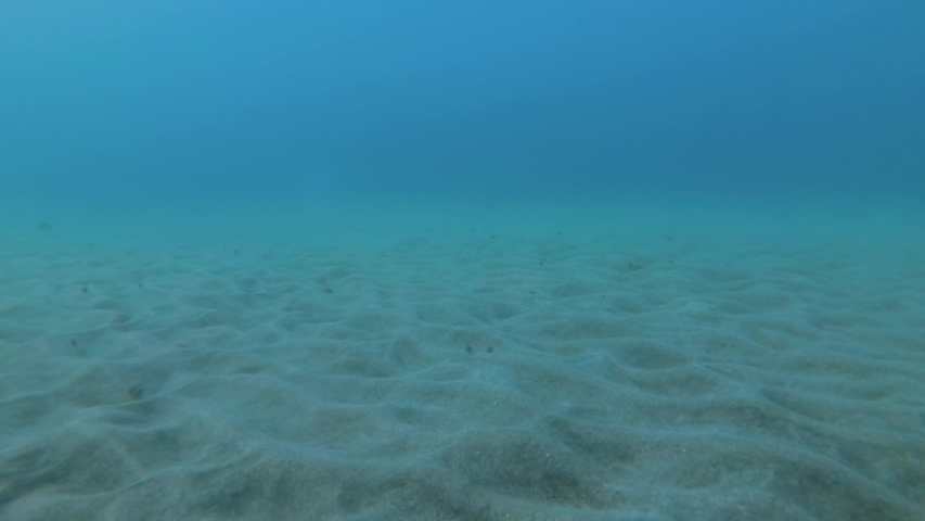 movement sand sea bottom surf zone Stock Footage Video (100% Royalty ...