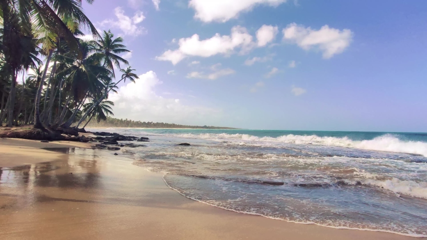 Coastline Landscape in the Dominican Republic image - Free stock photo ...