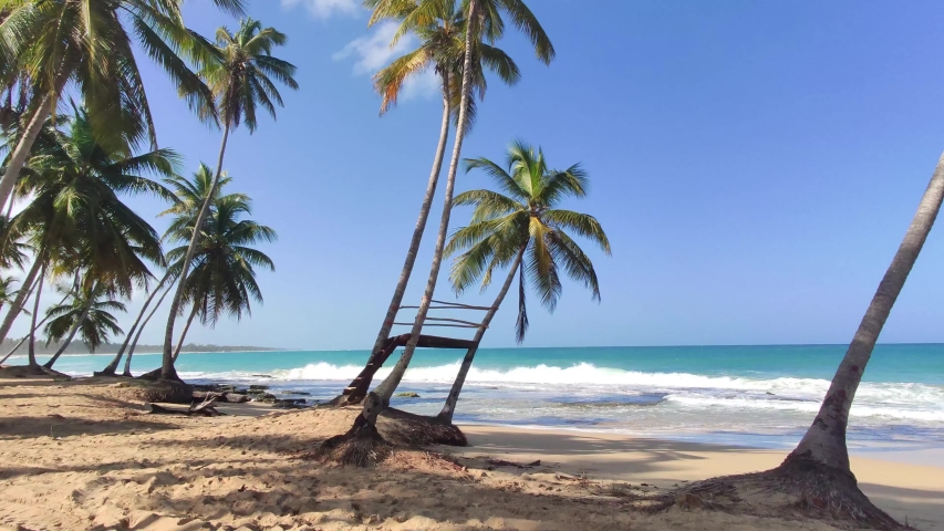 Coastline Landscape in the Dominican Republic image - Free stock photo ...