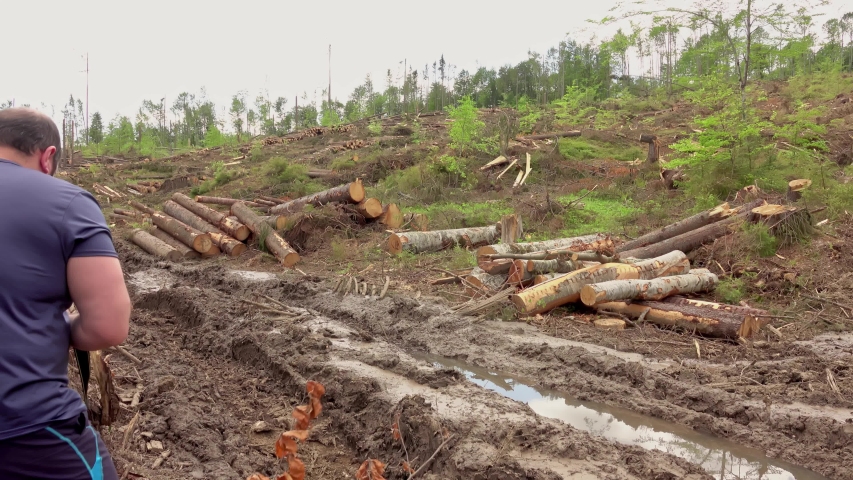 Forest Photographer Stock Video Footage - 4K and HD Video Clips ...