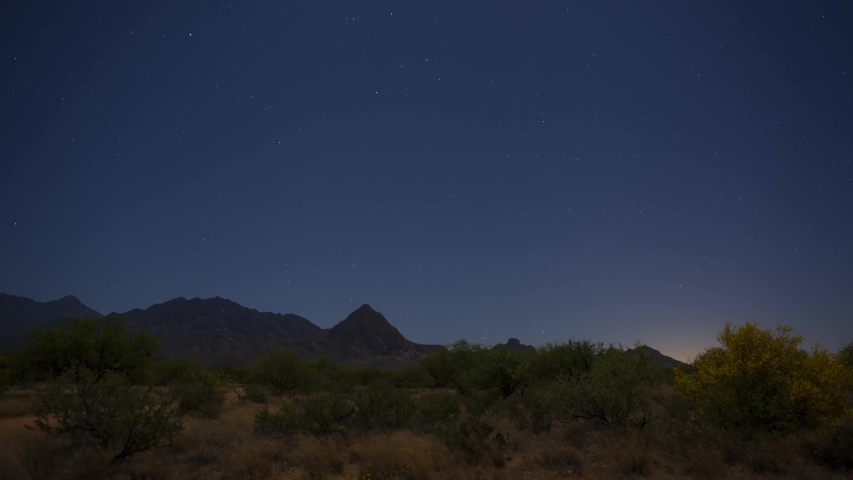 Stars over the trees and grass image - Free stock photo - Public Domain ...