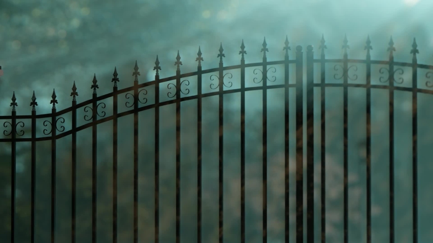 Wrought iron border Stock Video Footage - 4K and HD Video Clips ...