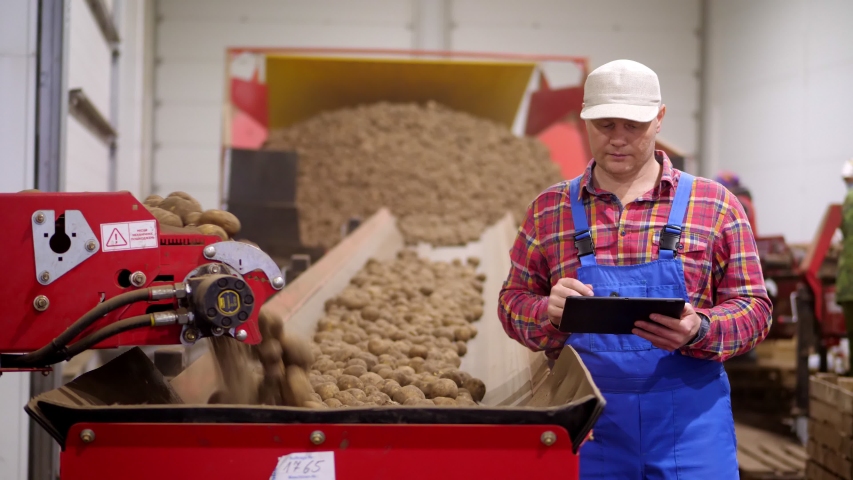 Farmer Monitor Quality Potatoes Tablet On Stock Footage Video (100% ...
