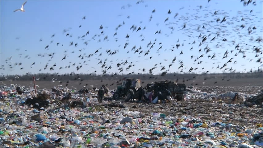 Garbage Dump Stock Footage Video (100% Royalty-free) 1053349 | Shutterstock