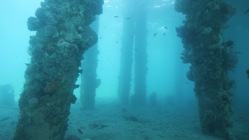 Underwater Dock Pilings Stock Video Footage - 4K and HD Video Clips ...