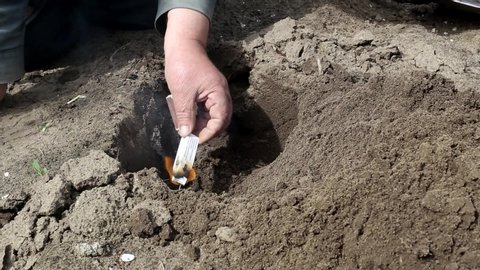 Expelling Smoking Mole Summer Cottage Smoke Stock Footage Video (100% ...