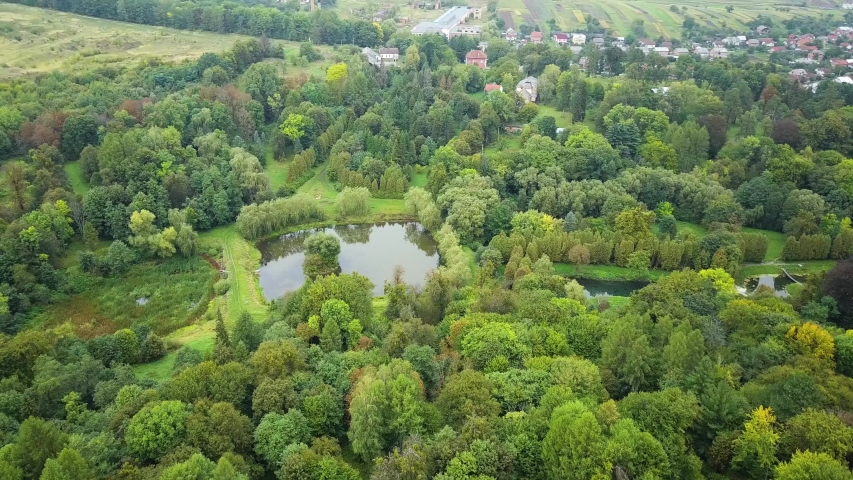 Pond landscape in Ukraine image - Free stock photo - Public Domain ...