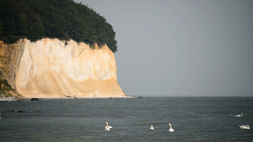 Jasmund National Park Stock Video Footage - 4K and HD Video Clips ...