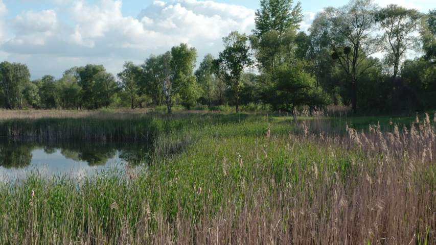 Lake, Swamp, and Wetlands landscape image - Free stock photo - Public ...