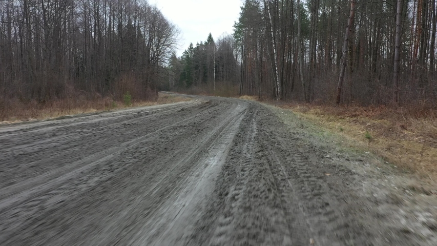 Forest After Rain Stock Video Footage - 4K and HD Video Clips ...