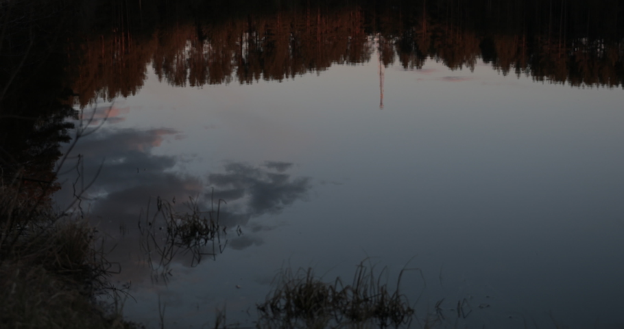 Autumn Forest overlook at Dusk image - Free stock photo - Public Domain ...