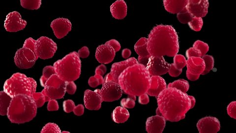 Flying Raspberry Black Background Stock Footage Video (100% Royalty ...