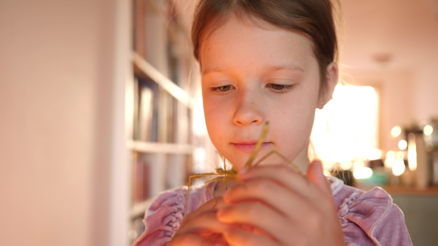 Cute Kid Girl Portrait Holds Stick Stock Footage Video (100% Royalty ...