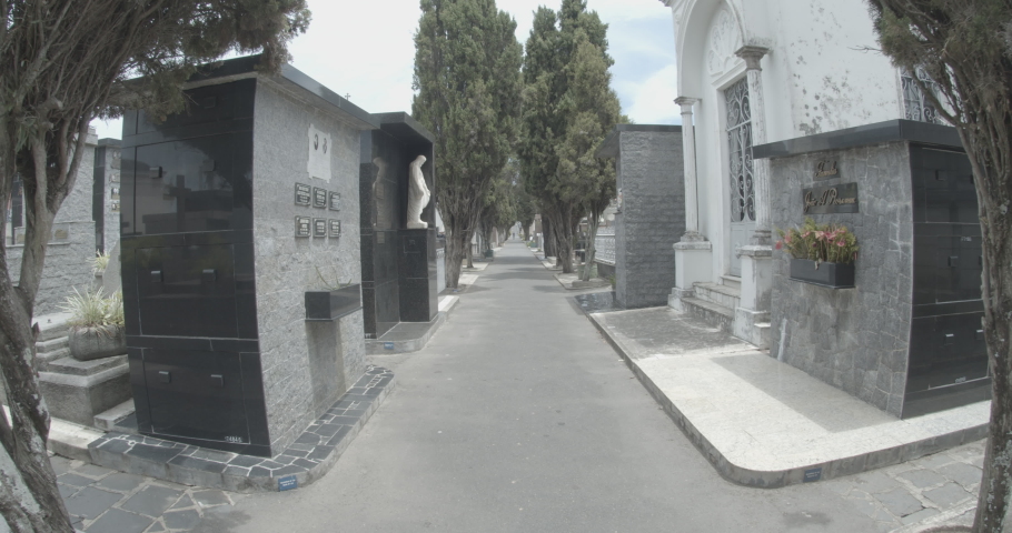 Dead Trees Cemetery Remember Jesus Stock Footage Video (100% Royalty ...