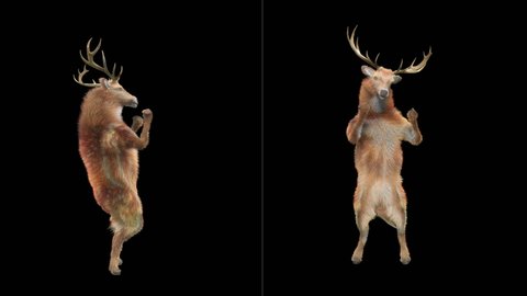 Top View European Deer Mount Stock Photo 56545465 | Shutterstock