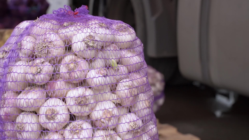 Purple Garlic Root Vegetables image - Free stock photo - Public Domain ...