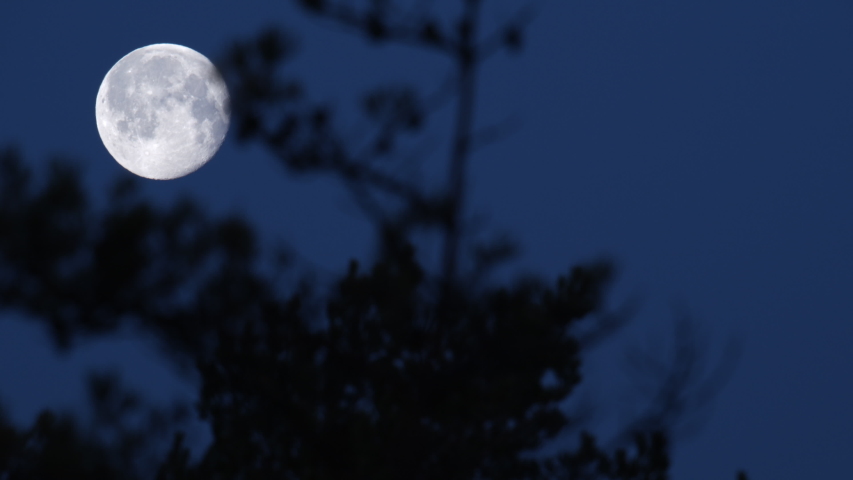 Timelapse of the Full Mooning Stock Footage Video (100% Royalty-free ...