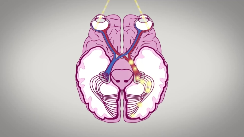 signal sent brain eye Stock Footage Video (100% Royalty-free ...