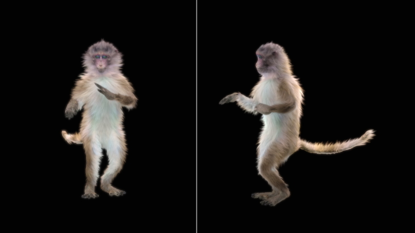 Monkeys Dance Cg Fur 3d Stock Footage Video (100% Royalty-free ...