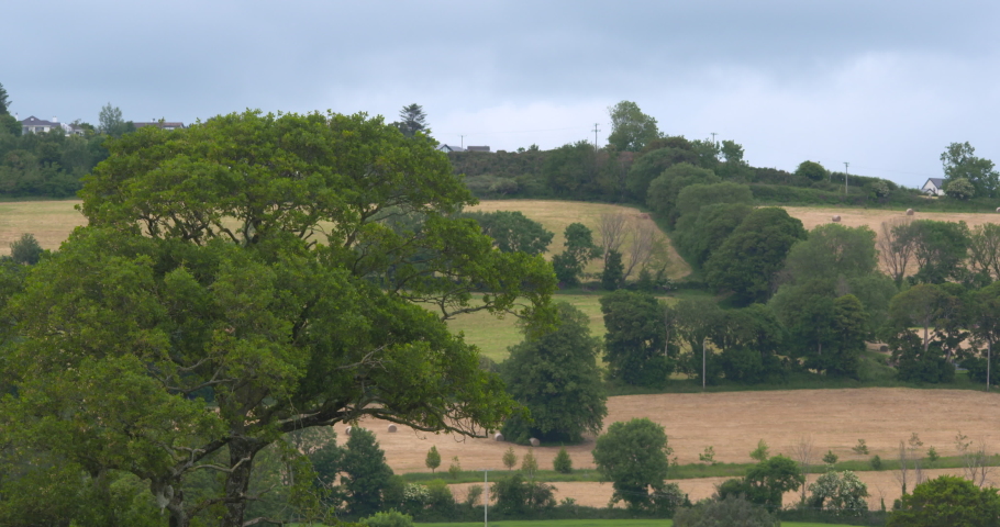 Cork Ireland Stock Video Footage - 4K and HD Video Clips | Shutterstock