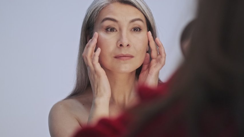 Free photographer Stock Video Footage - Royalty Free Video Download ...