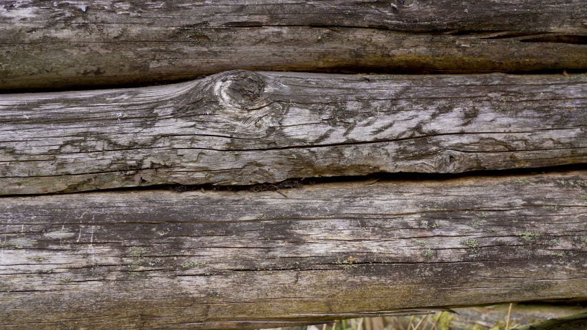 The Small Logs of the Stock Footage Video (100% Royalty-free ...